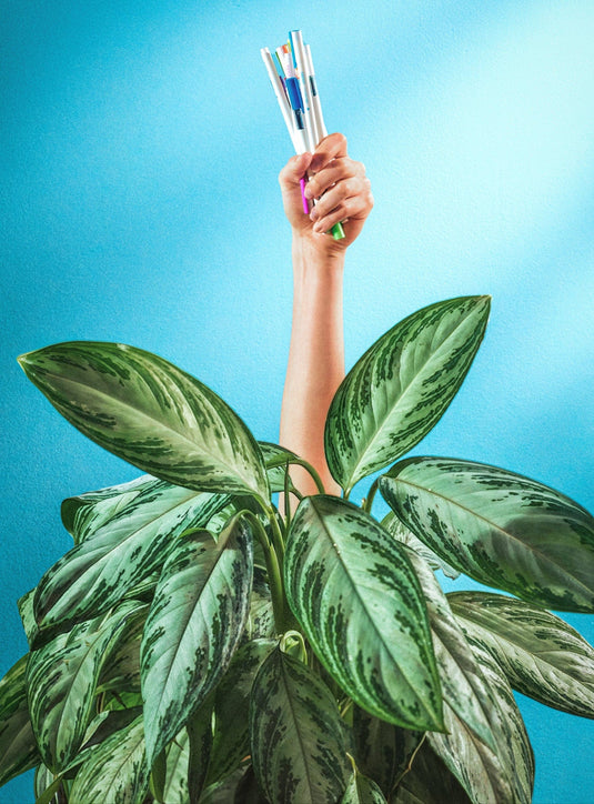 Sustainability – Yoobi